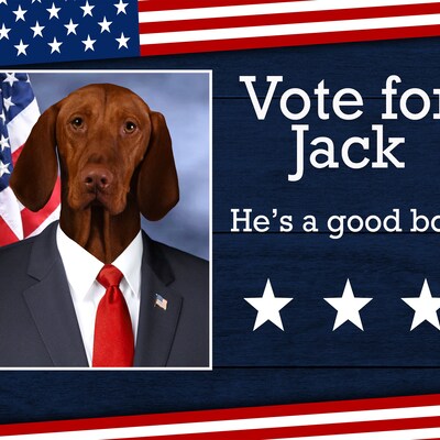 Pet Portrait Background,photoshop Digital Backgrounds, Template, Pet ...