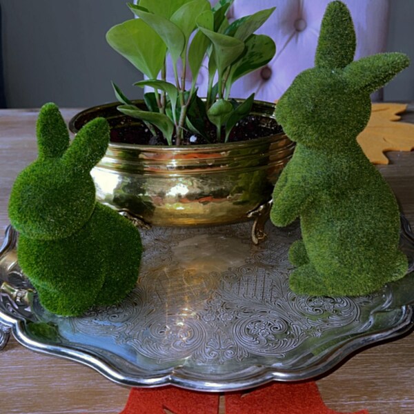 Liftgate Hatch Pull Assist Strap SUV Hatchback Subie for Short People ...