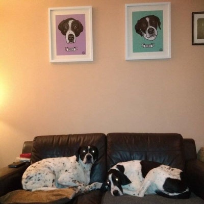 Chase Mountain Biking X Trash Free Trails Sticker Pack - Etsy