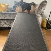 Doggoramps Small Dog Ramp for Bed including Tall Beds - Etsy Canada