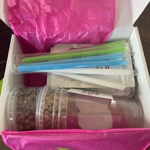 Bubble Tea Home DIY Kit by Bubble Box fruit Tea Set - Etsy