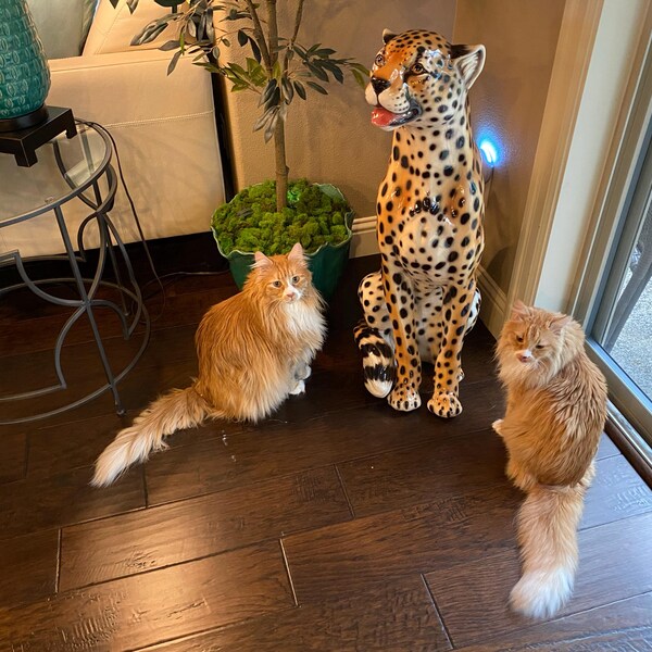 Exclusive Decorative Statue Cat Three Colors 30 Cm Ceramic Handmade ...