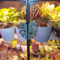 Plant Trellis Cebu Blue Pothos Plant Art Plant Decor - Etsy Canada