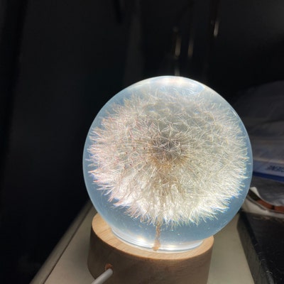 Dandelion Night Light, Real Dandelion Puff Paperweight, Flower Epoxy ...