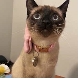 Custom Cat Collar Bell Bow in Blue Corduroy/velvet - Etsy