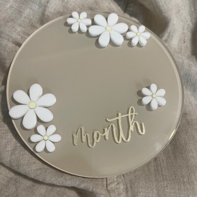 Acrylic Baby Milestone Marker, Baby Milestone Discs, Interchangeable ...