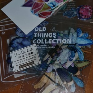 Hand Holding Card Stamp Report Card Clear Transparent Stamp | Etsy