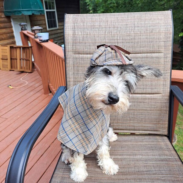 Pink Tweed Dress for Dogs and Cats, Vintage Luxury Tweed Tutu Dress for ...