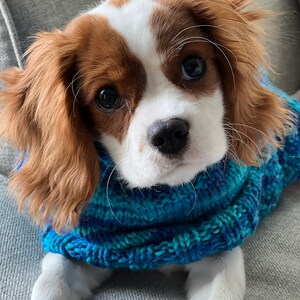 Baby Yoda Snood Cavalier Spaniel Snood Cocker English Toy | Etsy