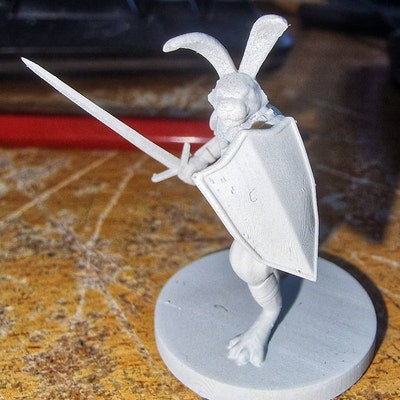 Rabbitfolk Harengon Fighter Paladin Cleric Tabletop - Etsy