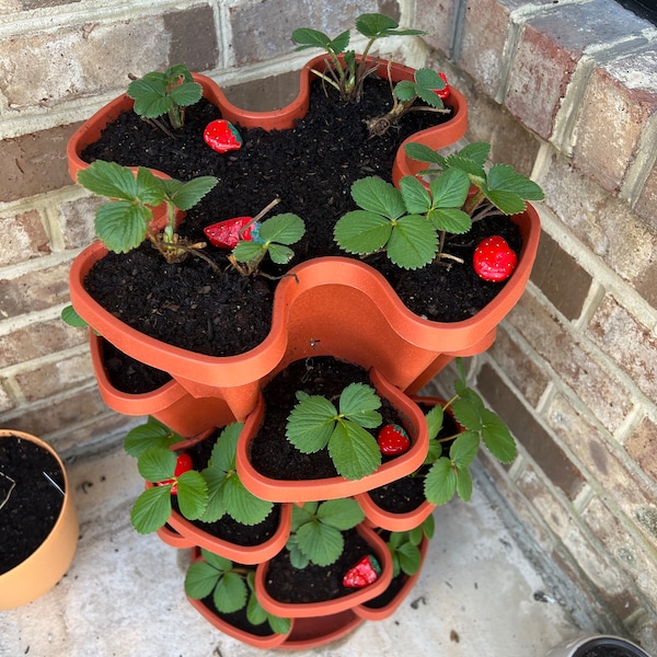 Pastel Cone Trees, Mini Trees, Pom-pom Trees, Christmas, Easter ...