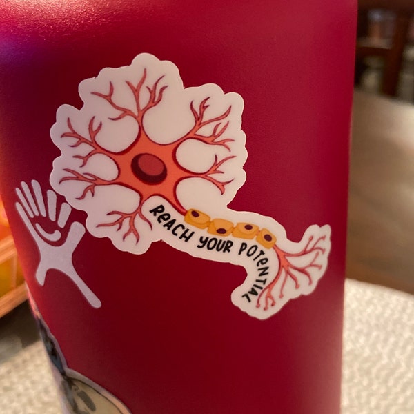 Neuron Potential Medical Sticker - Science Sticker - Medical Office ...