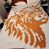 D&D D20 Dice Graph + Pattern C2C and Tapestry Crochet - 20 Sided Die ...