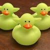 Spring Flowers Rubber Ducks | Cute Novelty Gift | Springtime | Gift for ...