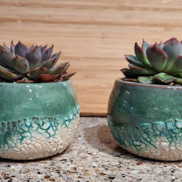 Ocean Coral Succulent Planters - Small Pottery Planter - Mini Succulent ...
