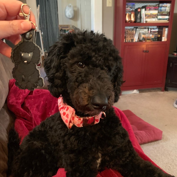 Bandage Case, Bandage Holder With Split Ring, Band Aid Case Without ...