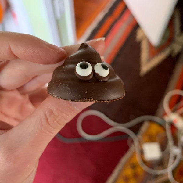 Chocolate Emoji Poop, 6 Pack, Gift Boxed, Crap, Shit, Turd, Insulting ...