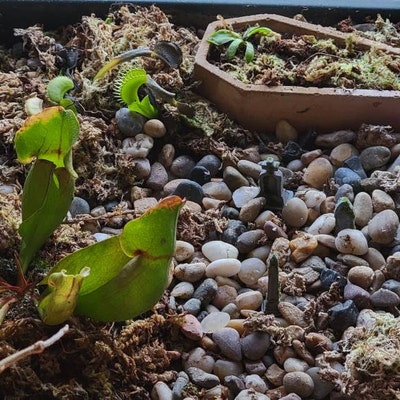 Miniature Gothic Cathedral Window, Gothic Church Medieval Window Frame ...