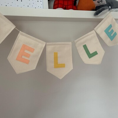 Muted Rainbow Wonderful Pennant Flag - Etsy