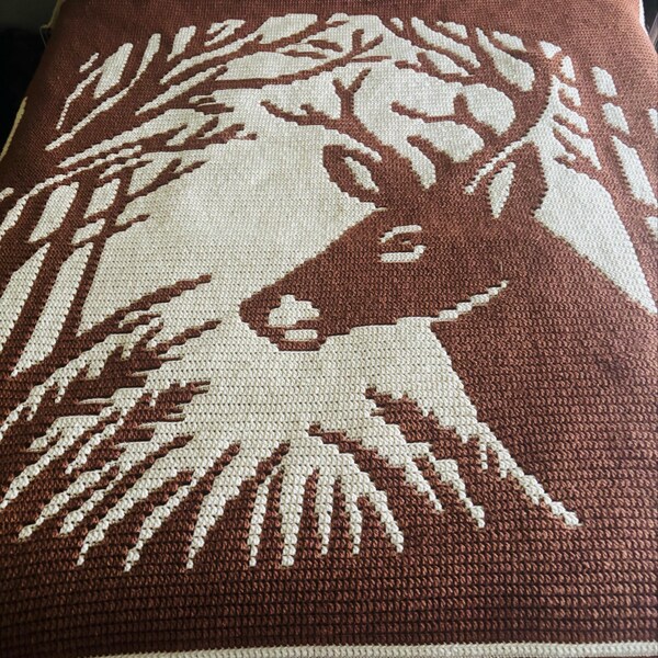 Class of 2027 Afghan C2C Crochet Pattern (PDF Pattern) - Etsy