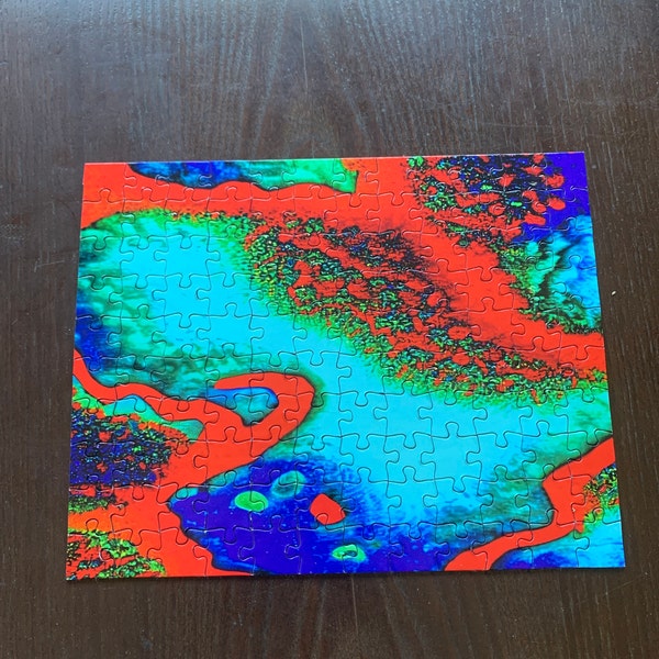 Psychedelic Fungi Field Puzzle - Mind-bending Mushroom Landscape - 1000 ...