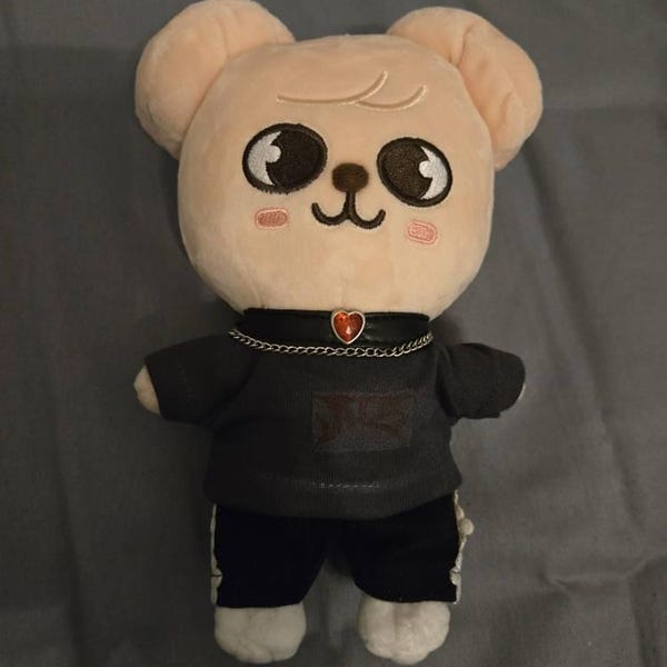 Skzoo Hoodie Set, Stray Kids Plushies, Skzoo Outfits, Skzoo Clothes ...