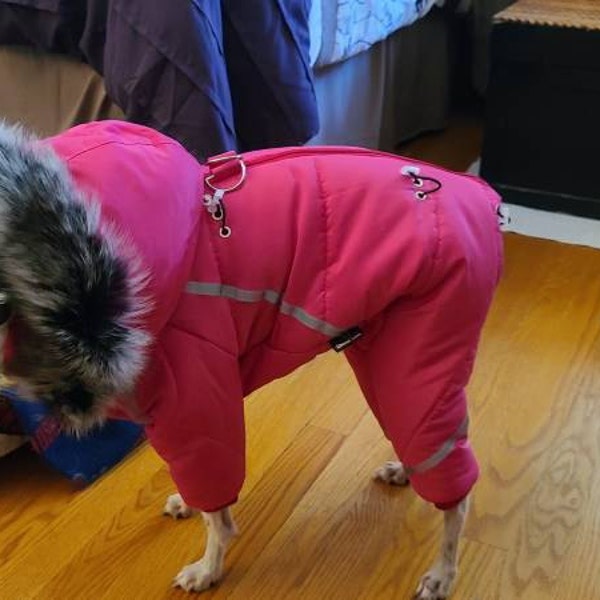 Dog Winter Clothes - Bright Overall - Snowsuit - Dog Full Body Suit ...