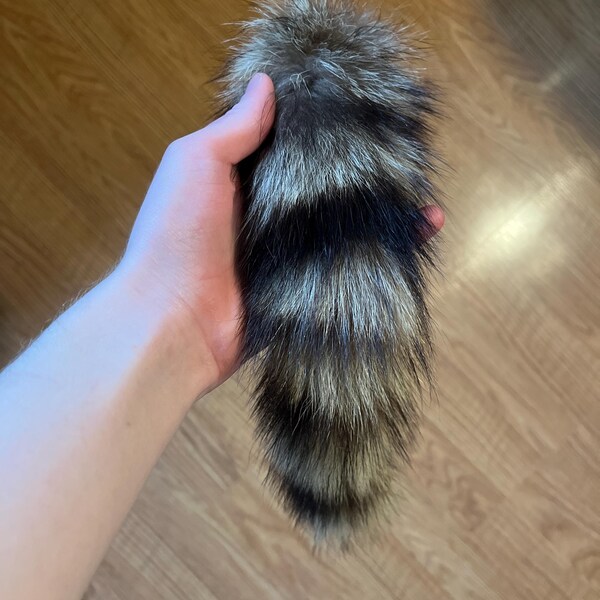 Raccoon Tails | Raccoon Tail Keychain | Taxidermy Keychain | Raccoon ...