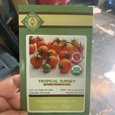 Cream of the Crop 'tropical Sunset' Tomato Seed 25 - Etsy