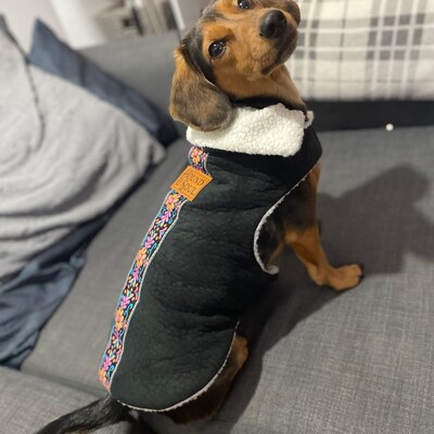 Sundance Shearling Dog Jacket so Boho Chic in Black - Etsy