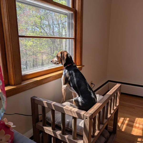 Gifts for Pets - Dog Window Perch - Elevated Dog Bed Furniture - Raised ...