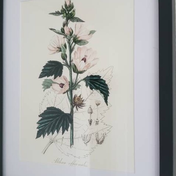 Pablo Picasso Wall Art Print, Picasso Poster, Picasso Home Decor ...