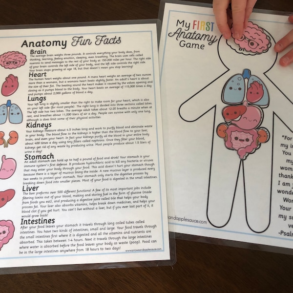 Anatomy Game, Printable Human Body Preschool Activity, About Me Kids ...
