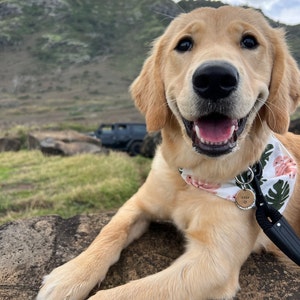 Stacked Dog Id / Dog Name Tag/ Puppy Tag / Custom Pet Tags / Hand ...