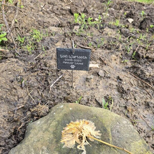 Personalized Pet Memorial Stone for Home & Garden, Dog Memorial, Cat ...