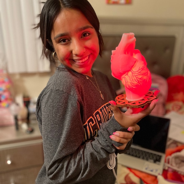 Human Heart - 3D Printed Accent Lamp, Anatomical, Table Lamp, Novelty ...