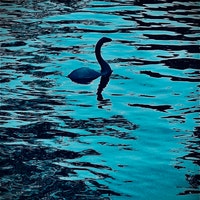 Nerf Raptorstrike Mod Kit Blaster Not Included - Etsy Canada