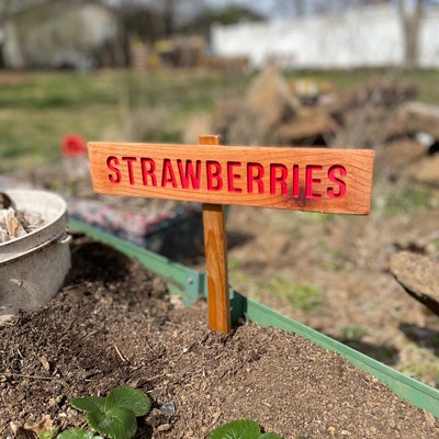 LIMES Rustic Tree Sign, Hand Routed, Citrus Tree Garden Sign, Tree ...