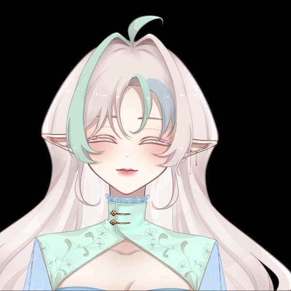 Female Vtuber Model | Live2d Rigged, Vtube Studio Ready, Color ...