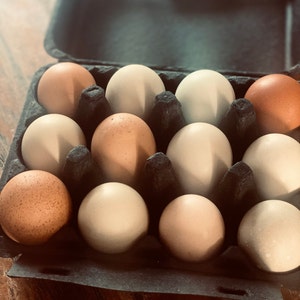 30 Vintage Chicken Egg Cartons | Etsy