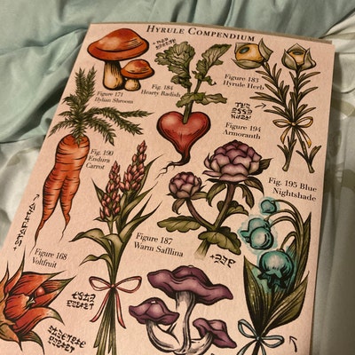 Hyrule Compendium Breath of the Wild Botanical Print - Etsy