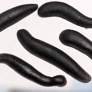 Larp Safe Rubber Leeches, Larp Medic, 5 Pack, Leach Healer, Plague ...
