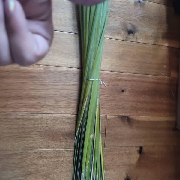 Wide Leaf Yucca Leaves, Yucca Baccata, 30in.-36in. Long, Approx. 40 in ...