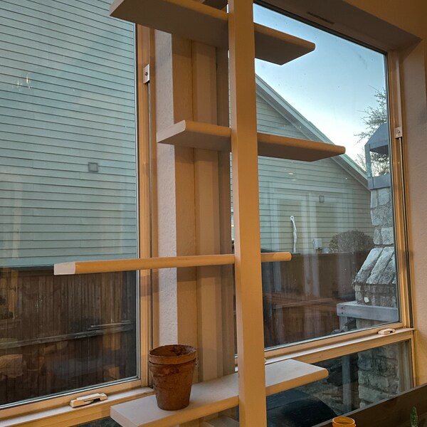 Modern Floating Wall Shelf, Java-stained Cherry & Maple Shelving Unit ...