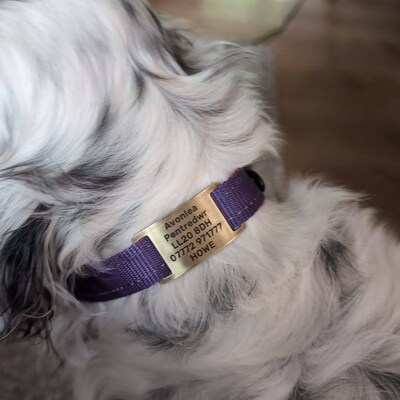 Funky Design Large Dog ID Disc Tag. Stainless Steel Washer Style ...