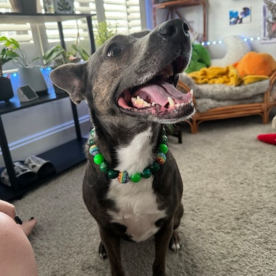 Flamingo Floaty Pool Party Beaded Dog Collar, Collar, Dog Collar, Dog ...