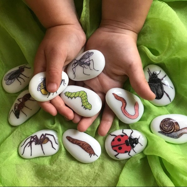 Mini Beasts, Insects, Nature, Wildlife, Story Stones, Story Sack ...