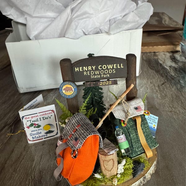 Ski Adventure Backpack - Magnet/ Ornament Decoration - Etsy