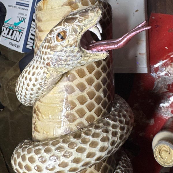 Authentic Boa Constrictor Snake Shed 59-78 In| Perfect for Art, Rituals ...