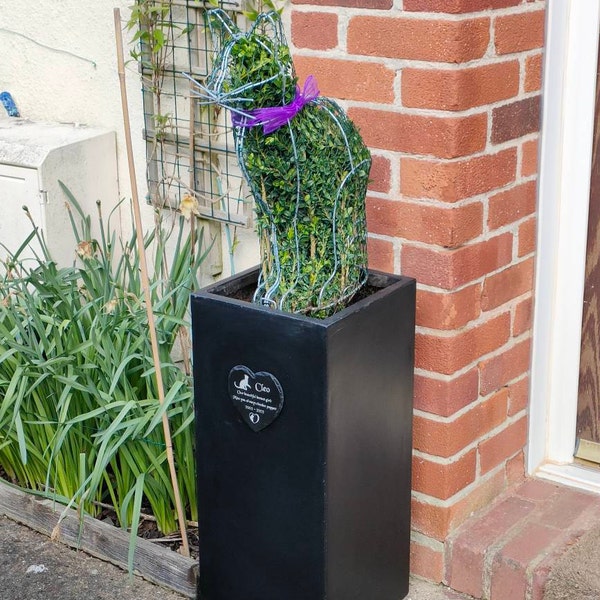 Handmade Topiary Cat Frame - for Plants - Perfect for the Budding ...